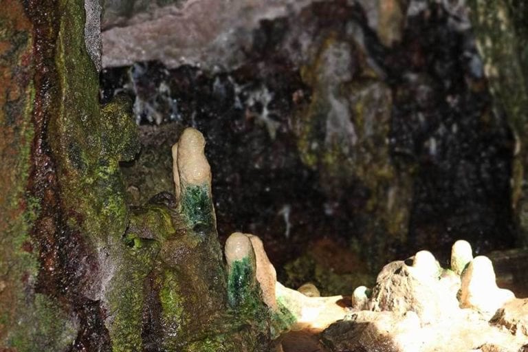 Amabere Ganyinamwiru – AA Safaris and Tours